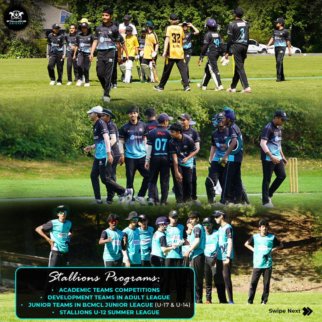 Stallions Cricket